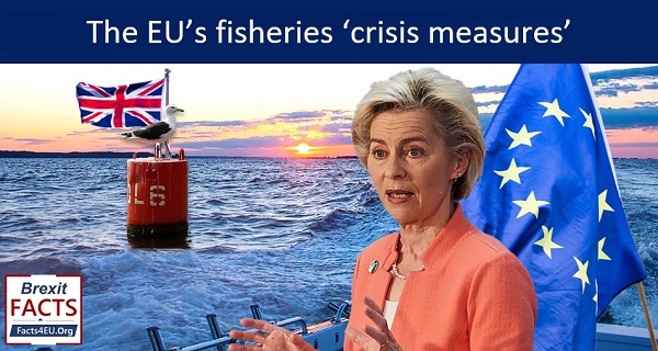 “The whole EU fishing fleet is becoming virtually unprofitable,” says ...
