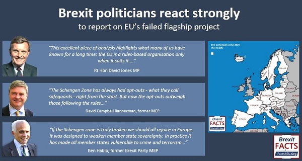 Brexit politicians react strongly to our report on EU’s failed flagship ...